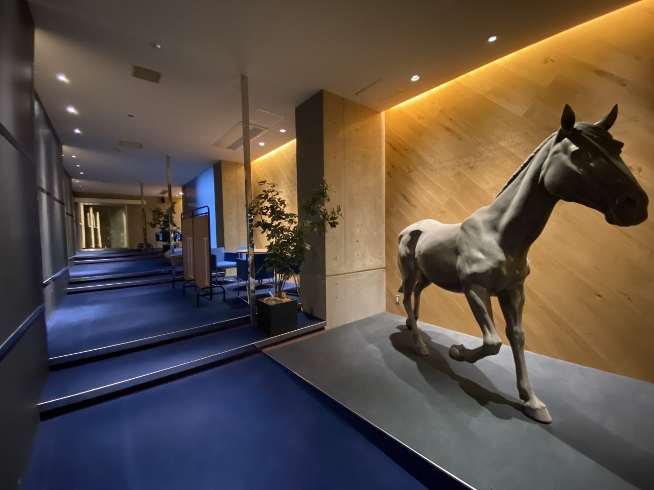 採用補助 – INSOUホールディングス株式会社